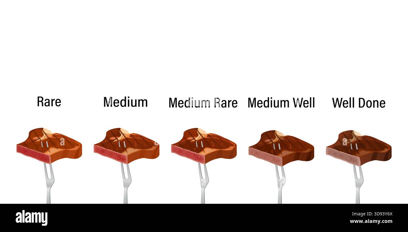 Beef steak doneness chart showing various cooking levels Stock Vector ...