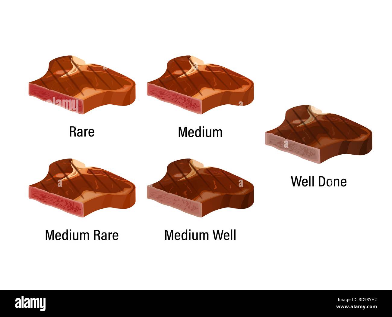 Beef steak doneness cooking guide infographic chart Stock Vector Image ...