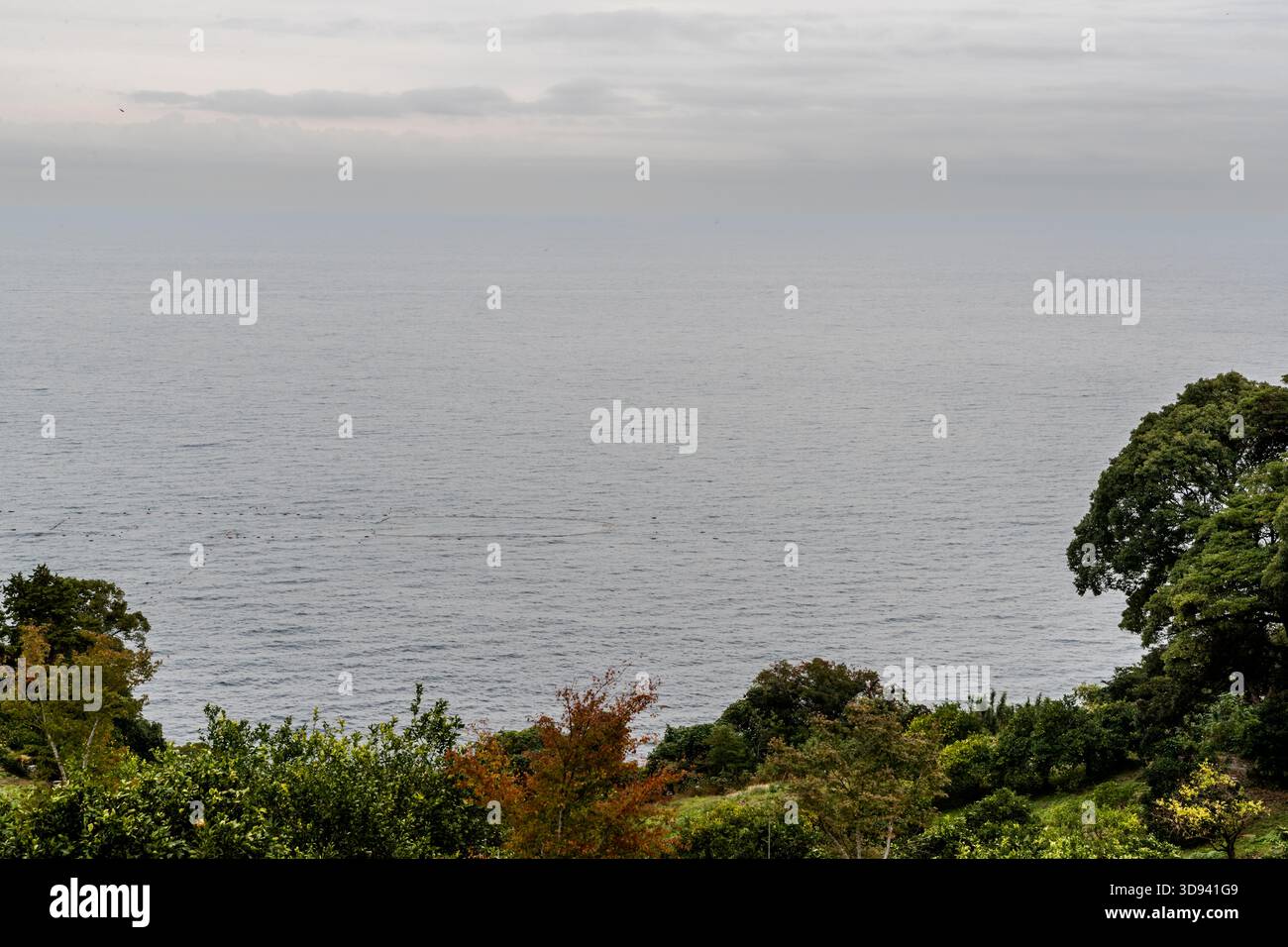 Odawara, Kanagawa Prefecture, Japan Stock Photo - Alamy