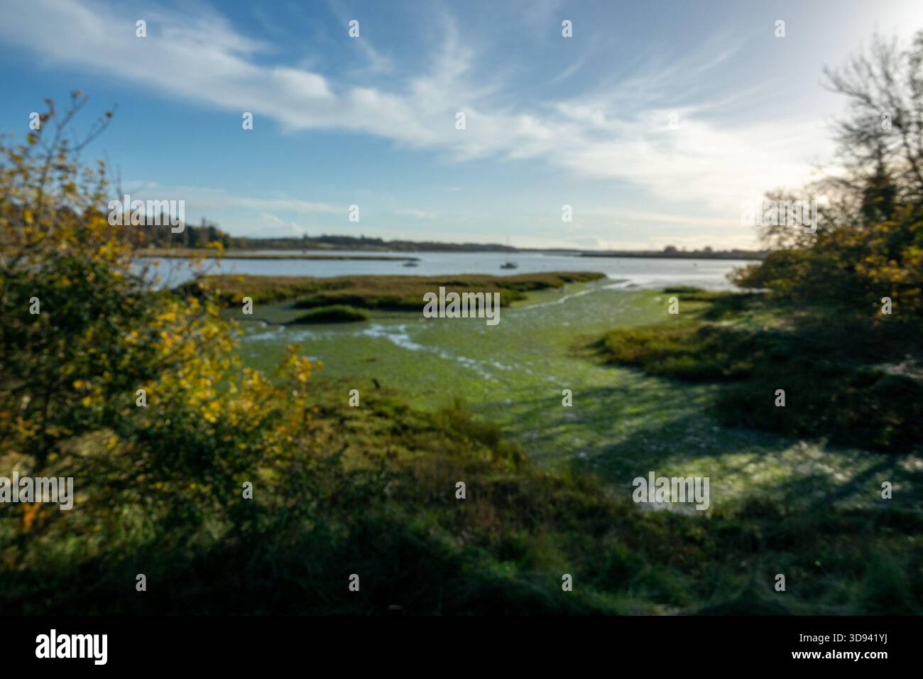 Kyson point Woodbridge, Suffolk, England, River Deben Stock Photo - Alamy