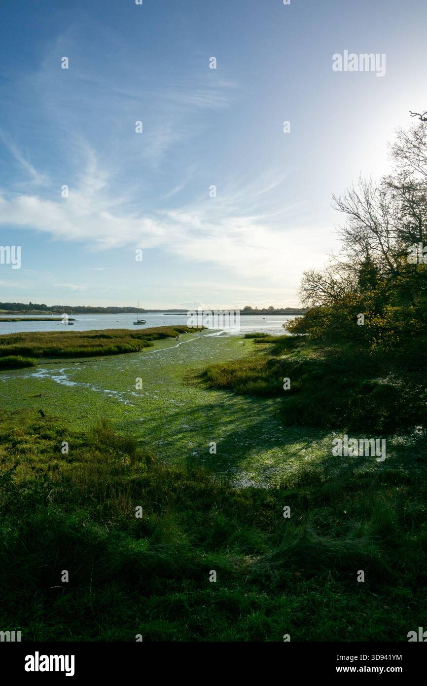 Kyson point Woodbridge, Suffolk, England, River Deben Stock Photo - Alamy