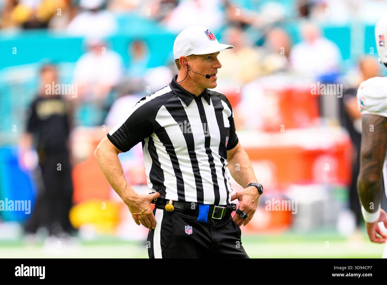 NFL referee Alan Eck stands on the field during an NFL football game ...