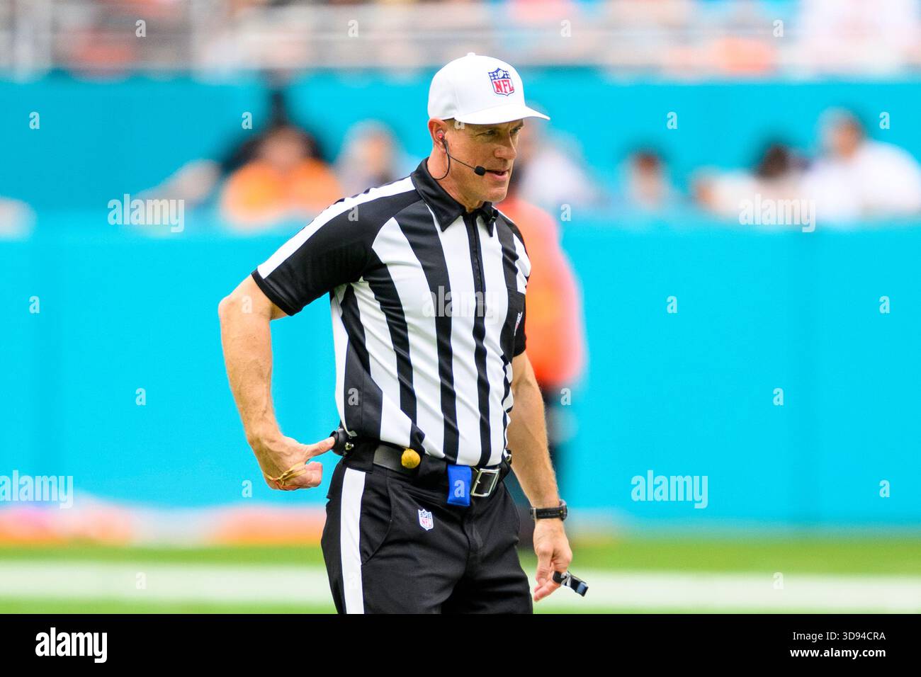 NFL referee Alan Eck stands on the field during an NFL football game ...