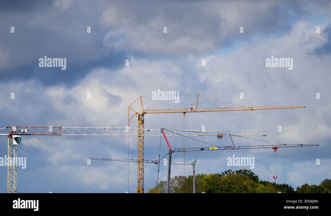 16 October 2025, Lower Saxony, Reppenstedt: Cranes can be seen in an ...