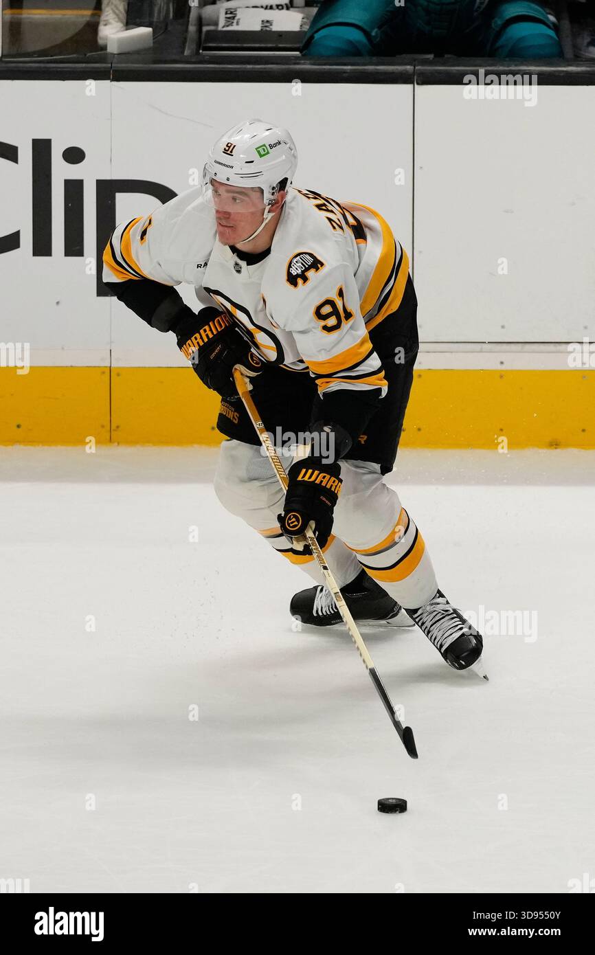 Boston Bruins defenseman Nikita Zadorov (91) during an NHL hockey game ...