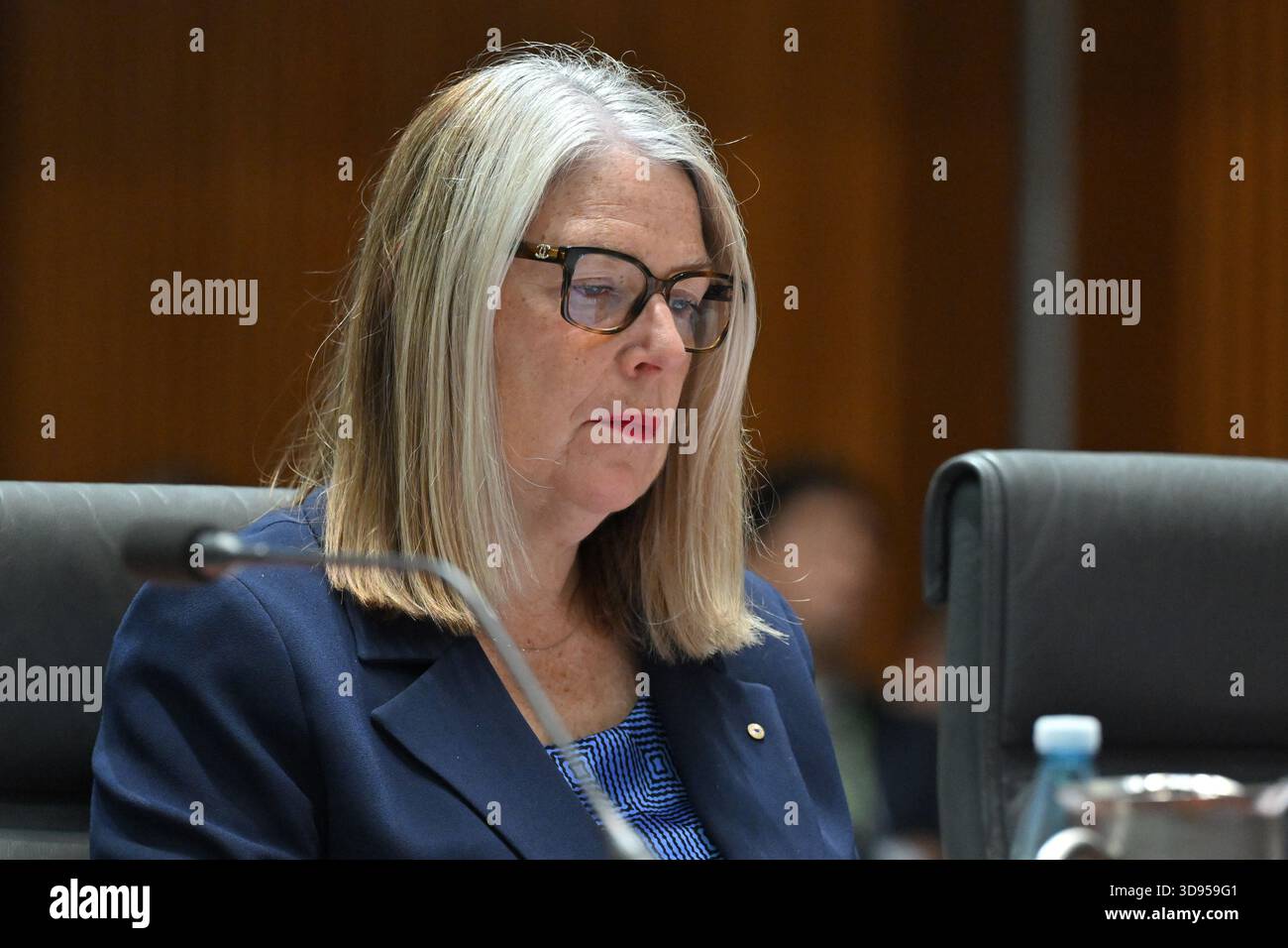 Department of Foreign Affairs and Trade Secretary Jan Adams during ...