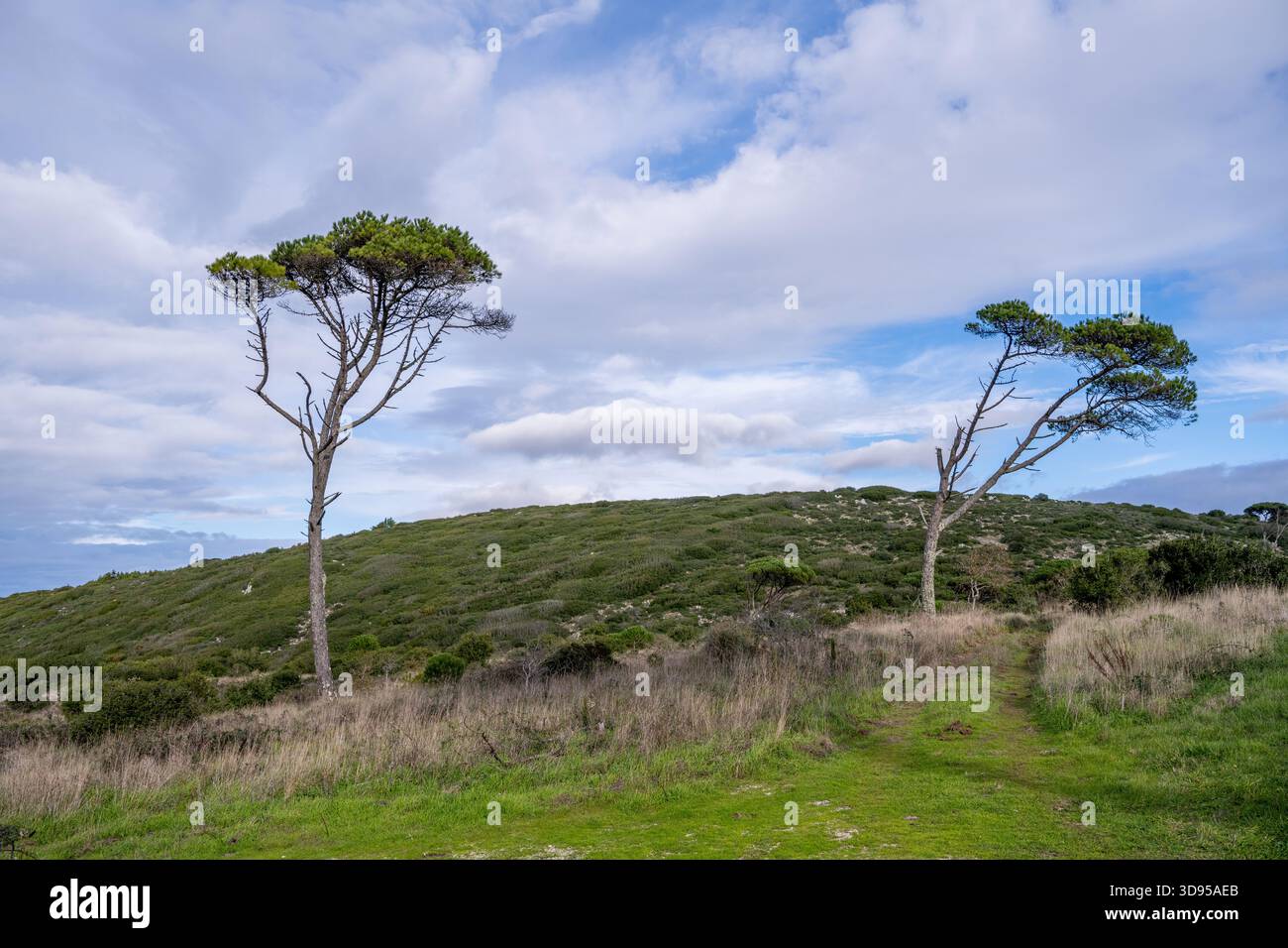 Portugal lisbon two mountain hi-res stock photography and images - Alamy