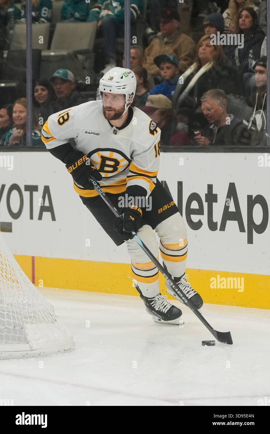 Boston Bruins center Pavel Zacha during an NHL hockey game against the ...