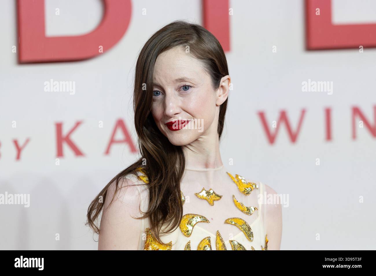 Andrea Riseborough attends the Goodbye June World film premiere at ...