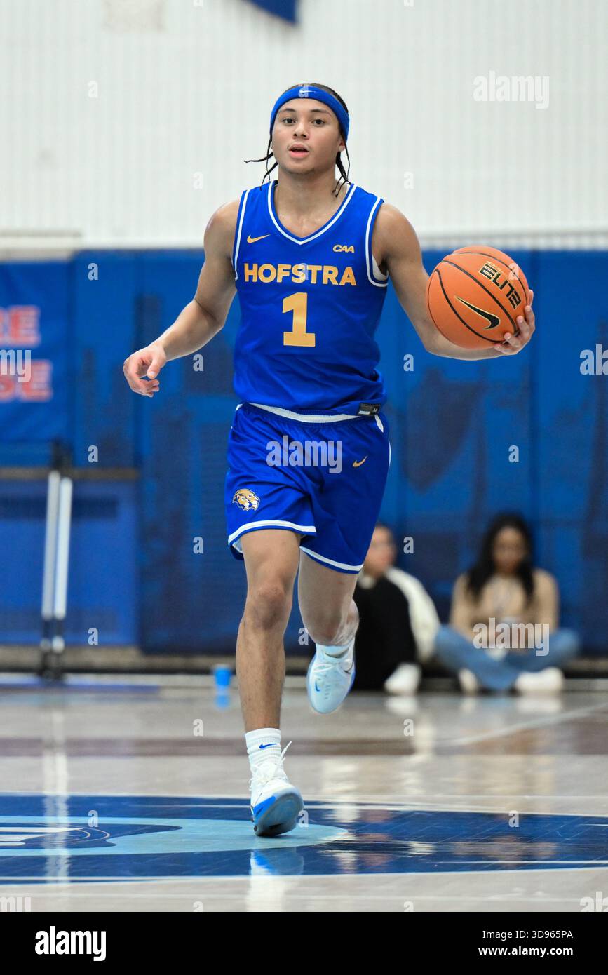 NEW YORK, NY - DECEMBER 03: Hofstra Pride guard Preston Edmead (1 ...
