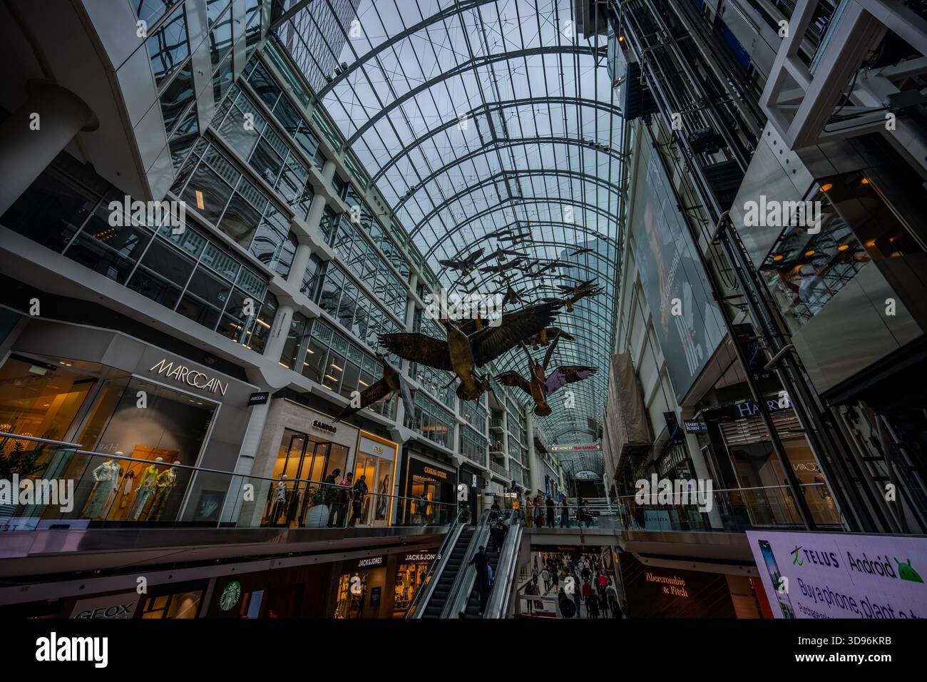 Glass-roof shopping mall with bird sculpture installation above ...