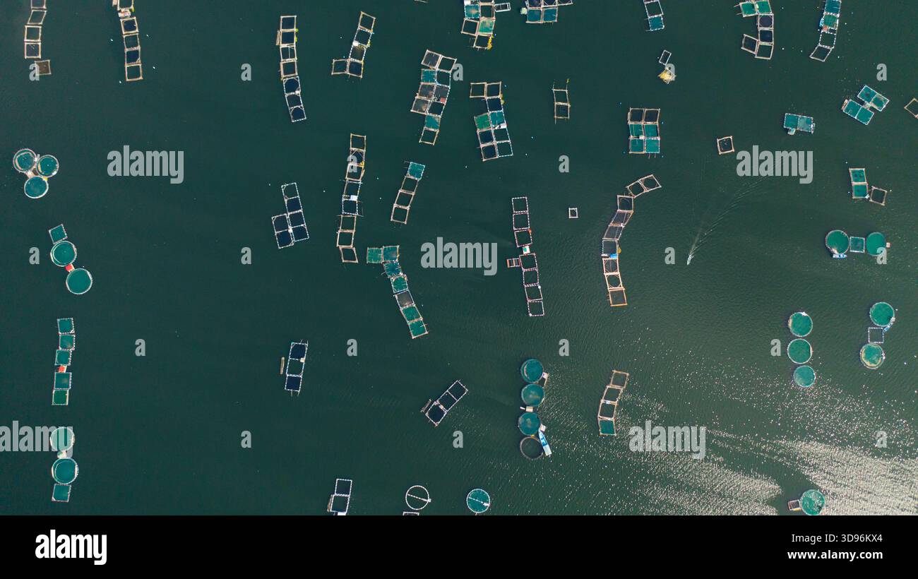 Fish ponds for bangus, milkfish. Farming aquaculture or pisciculture ...