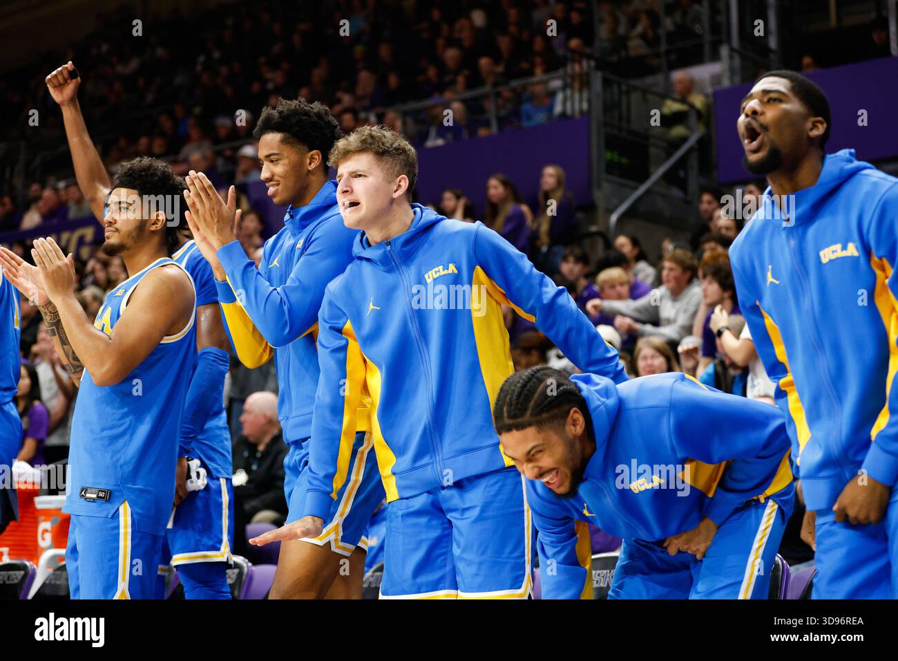 SEATTLE, WA - DECEMBER 03: Players from the UCLA Bruins react during a ...