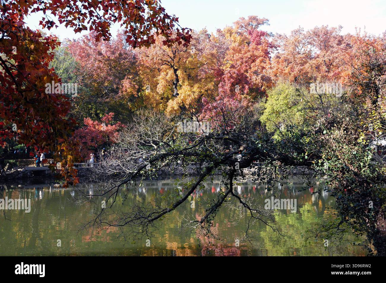 Maple trees of Tianping Mountain attract tourists in Suzhou City, east ...