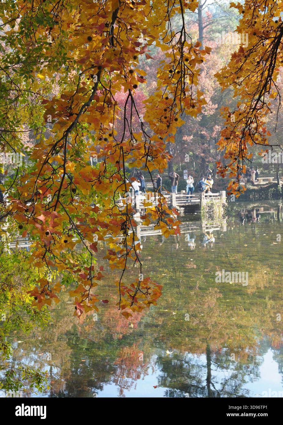 Maple trees of Tianping Mountain attract tourists in Suzhou City, east ...