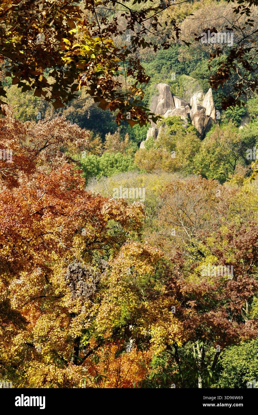 Maple trees of Tianping Mountain attract tourists in Suzhou City, east ...