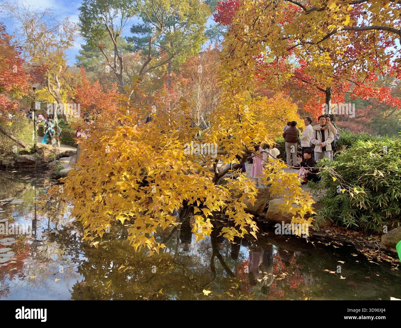 Maple trees of Tianping Mountain attract tourists in Suzhou City, east ...