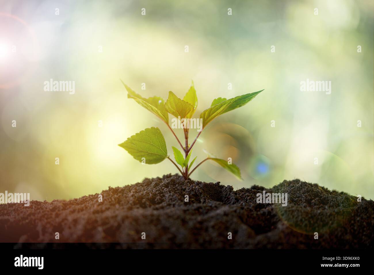 Environment, save clean planet, ecology concept. World Earth Day. Young ...