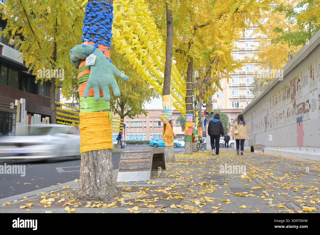 Trees on the street are put on brightly colored "sweaters" for winter ...