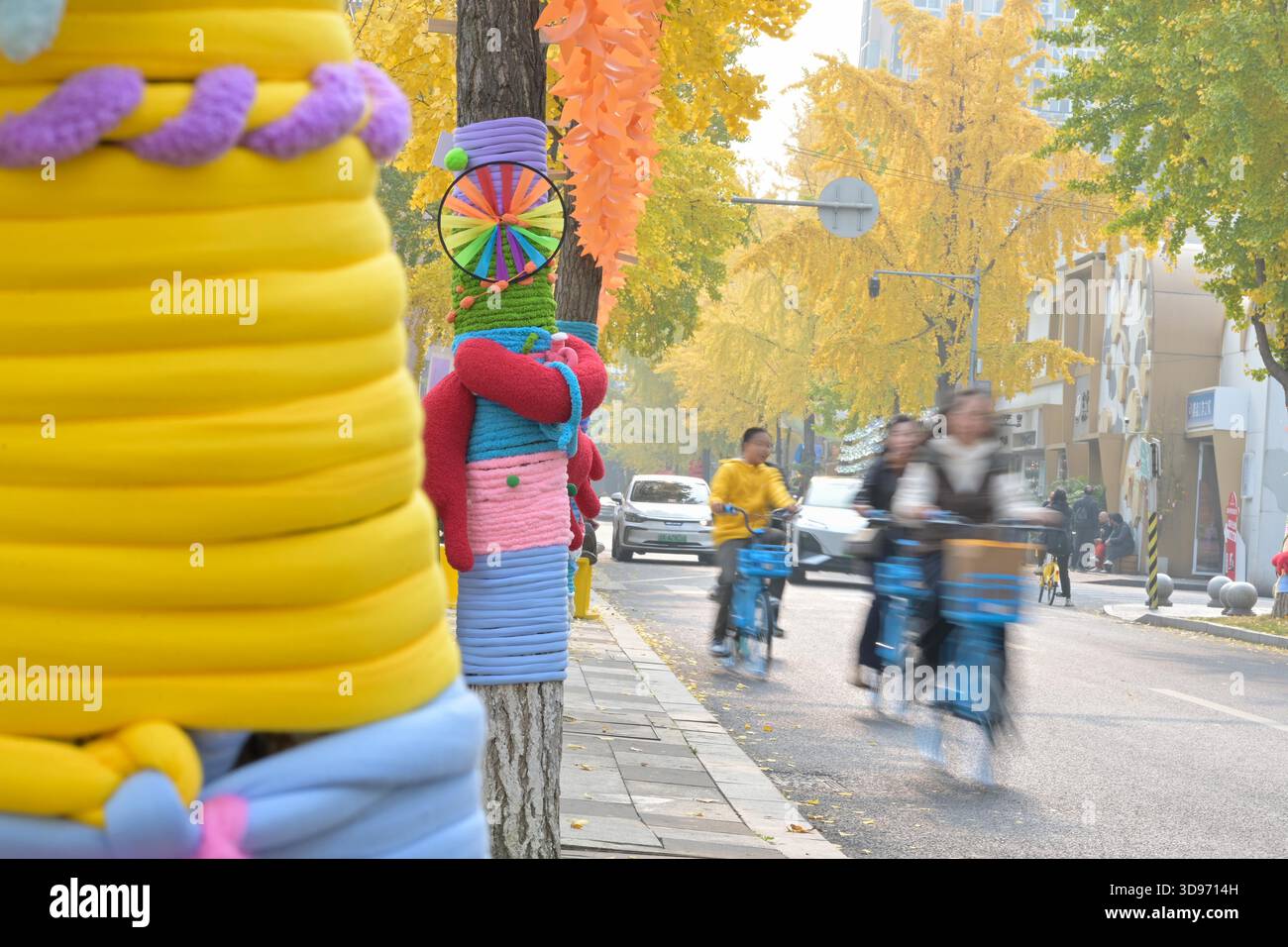 Trees on the street are put on brightly colored "sweaters" for winter ...