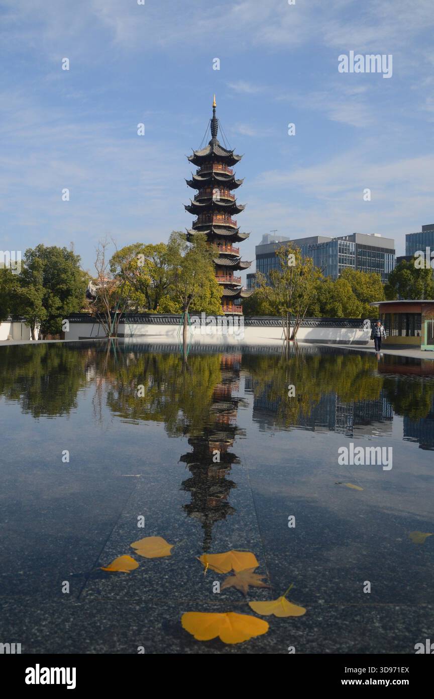Ginkgo trees at Longhua Temple enter the best viewing time in Shanghai ...