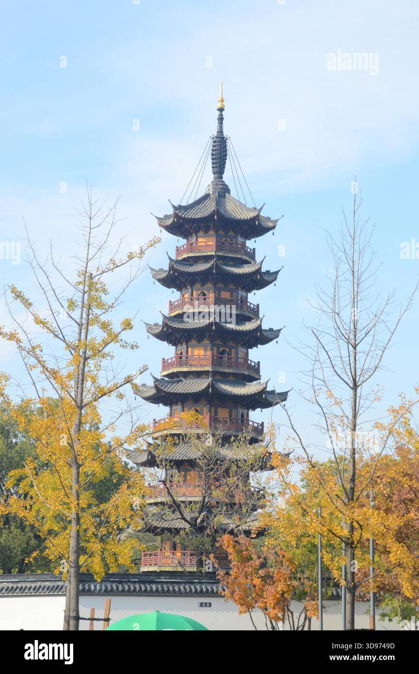 Ginkgo trees at Longhua Temple enter the best viewing time in Shanghai ...