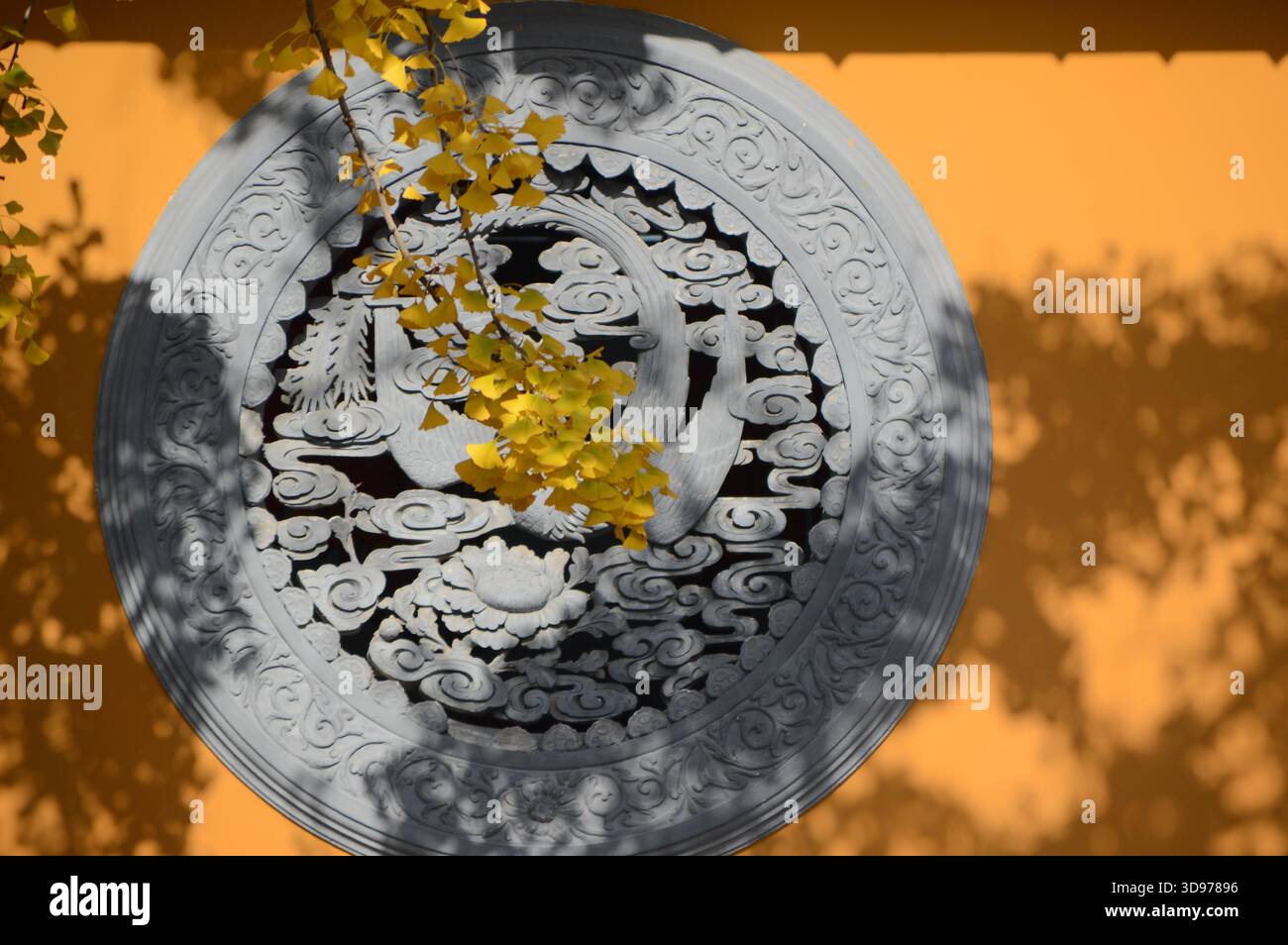 Ginkgo trees at Longhua Temple enter the best viewing time in Shanghai ...