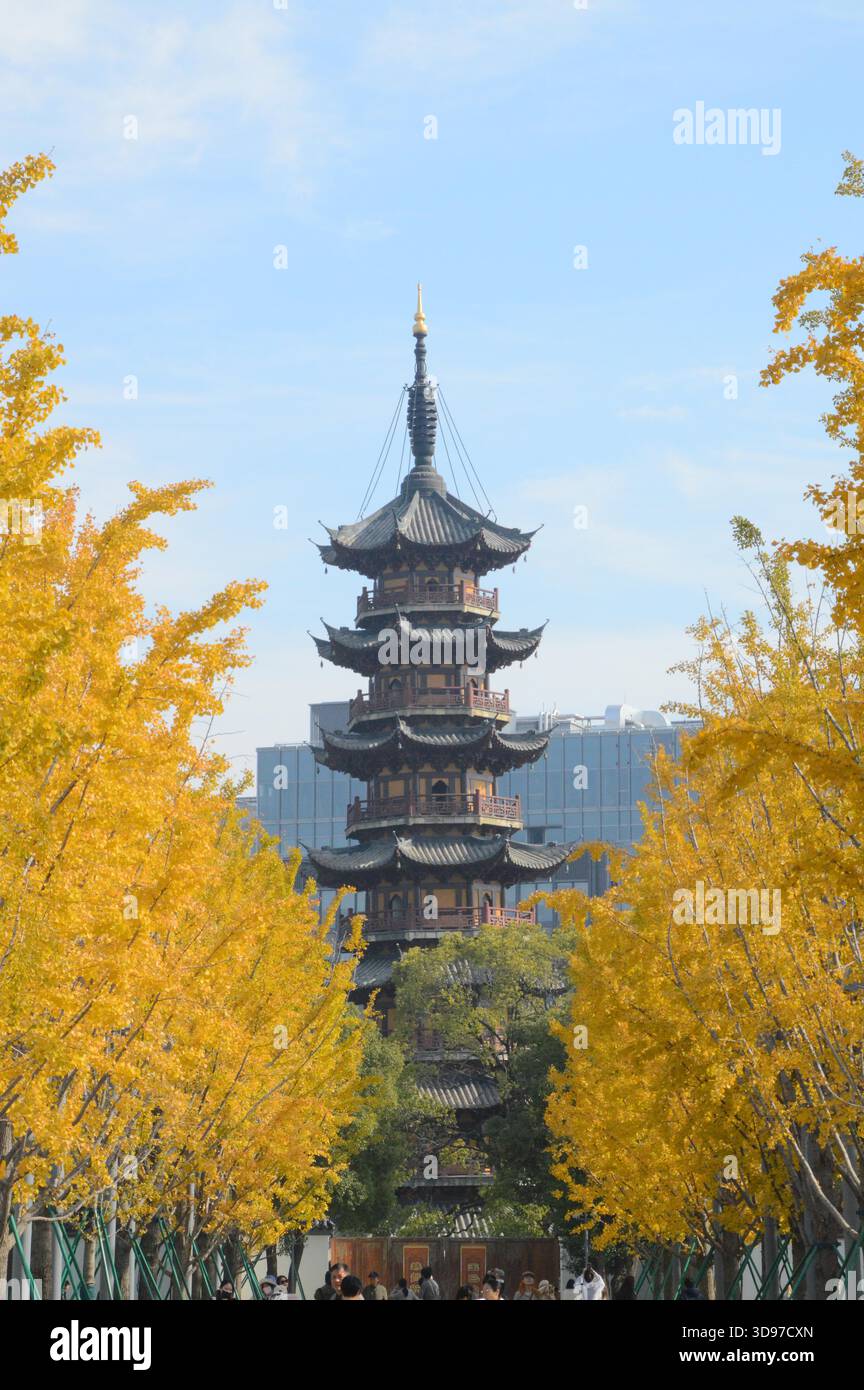 Ginkgo trees at Longhua Temple enter the best viewing time in Shanghai ...