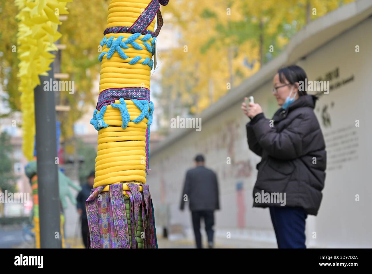 Trees on the street are put on brightly colored "sweaters" for winter ...