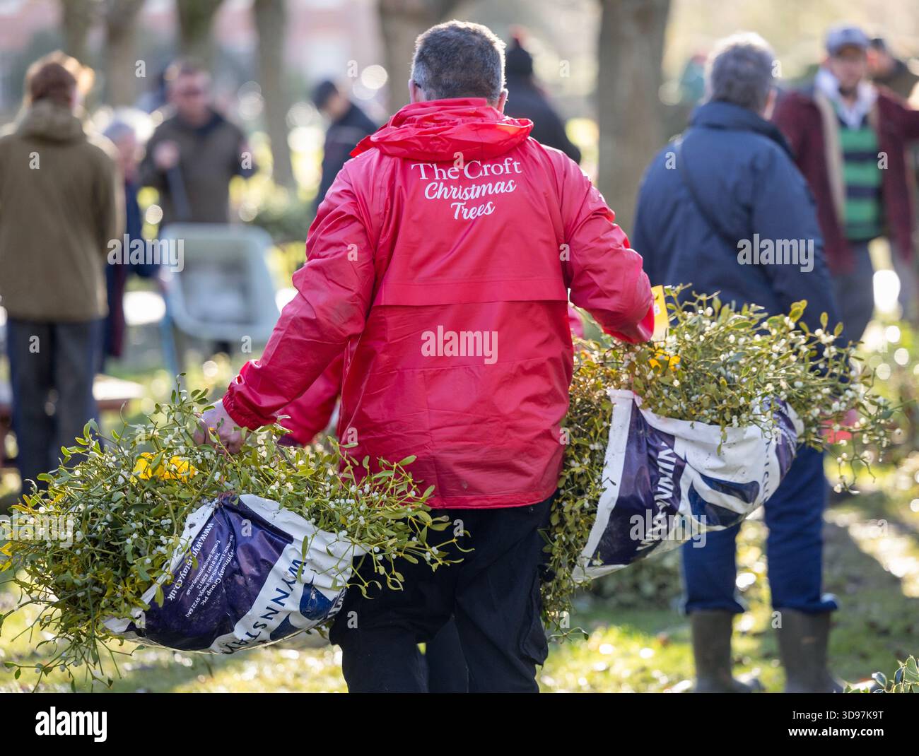 25/11/25 Buyers bid for mistletoe, holly, and wreaths at the annual ...