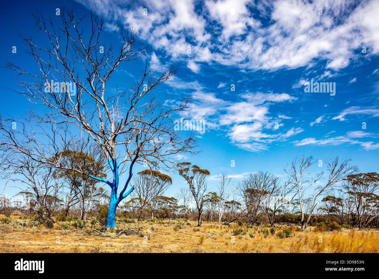 Causing significant grief hi-res stock photography and images - Alamy