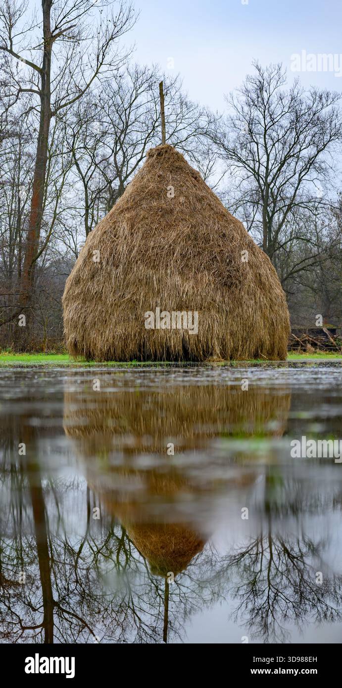 04 December 2025, Brandenburg, Lehde: A haystack stands on a meadow ...