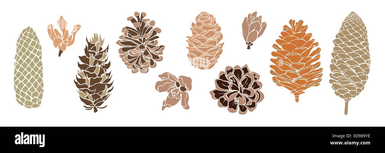 Pine cones vector pattern Cut Out Stock Images & Pictures - Alamy