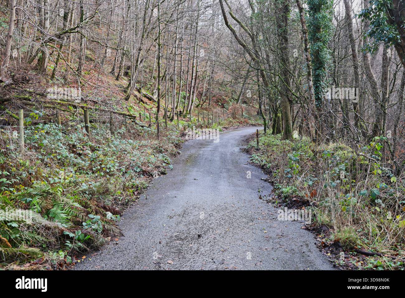 National Cycle Route 765 between Dunblane and Bridge of Allan Scotland ...
