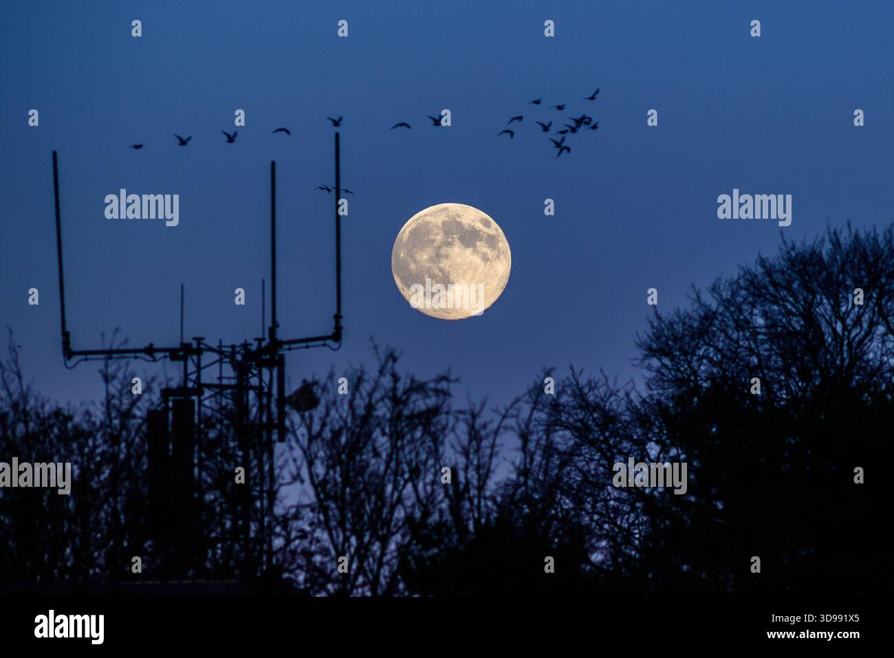 Fordingbridge, Hampshire, England, UK, 4th December 2025. Full moon ...