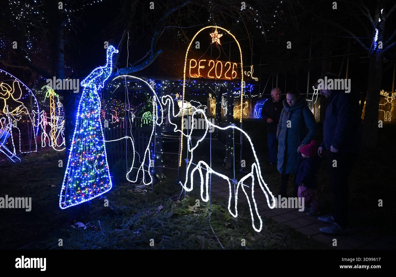 A luminous nativity scene and dozens of luminous animal silhouettes ...