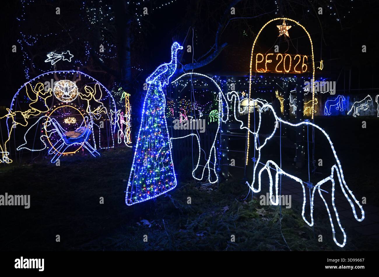 A luminous nativity scene and dozens of luminous animal silhouettes ...