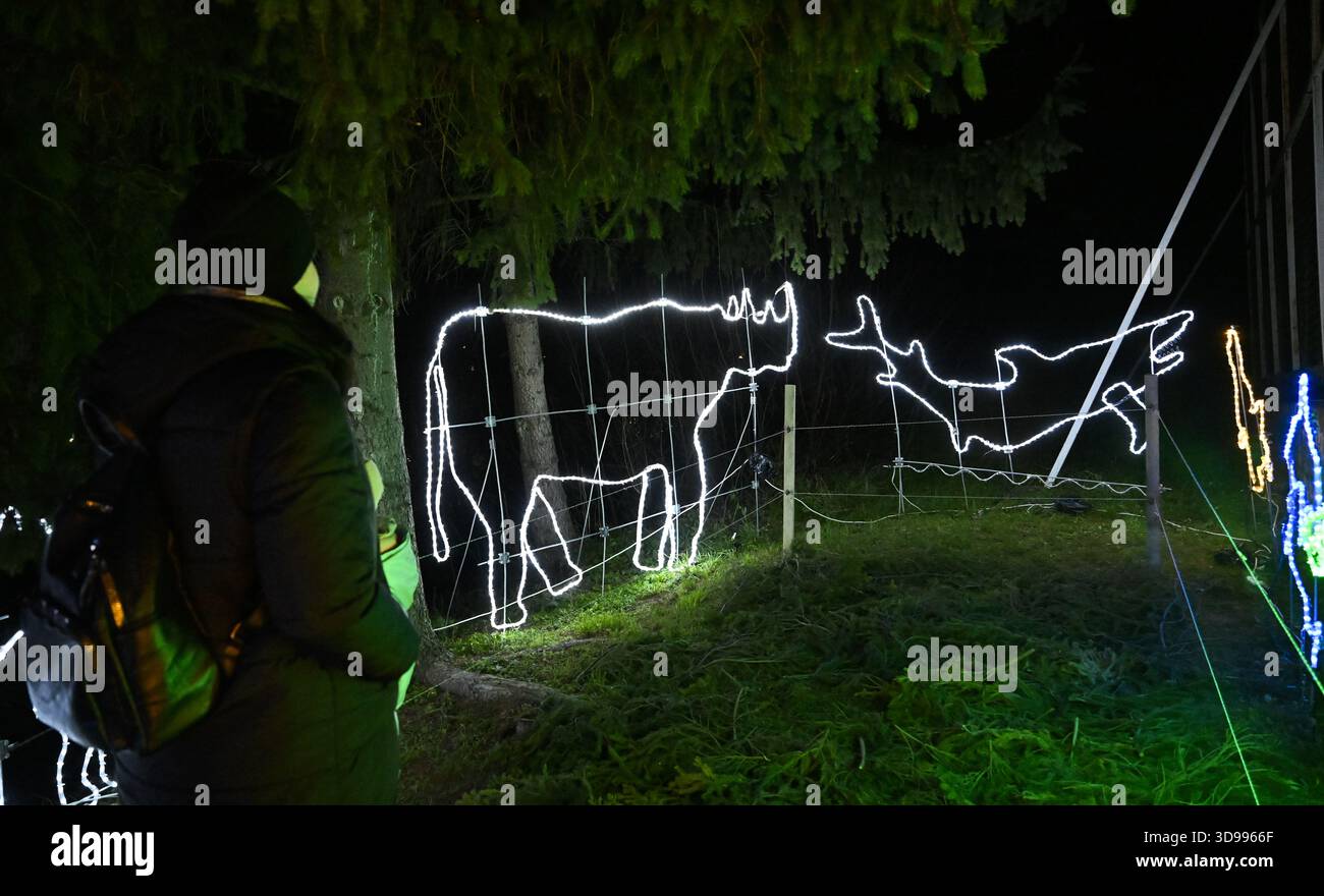 A luminous nativity scene and dozens of luminous animal silhouettes ...