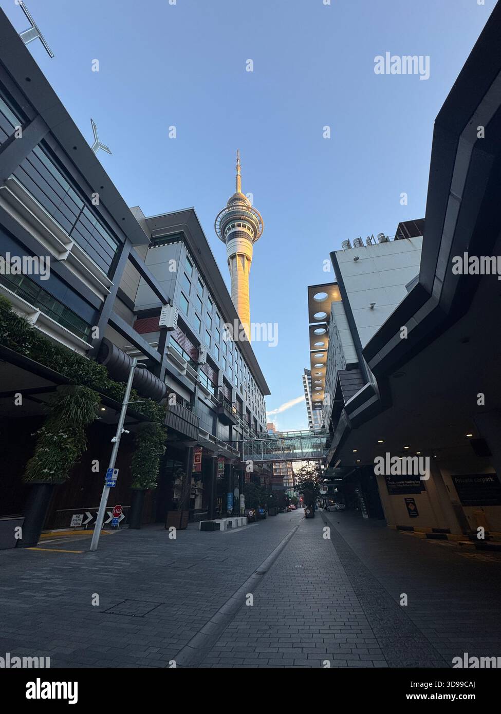 Auckland downtown city street scene in the central business district ...