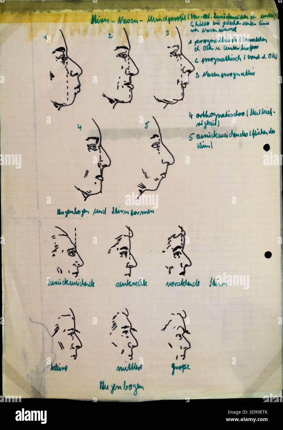 Vintage hand-drawn illustration of faces in profile, annotated in ...