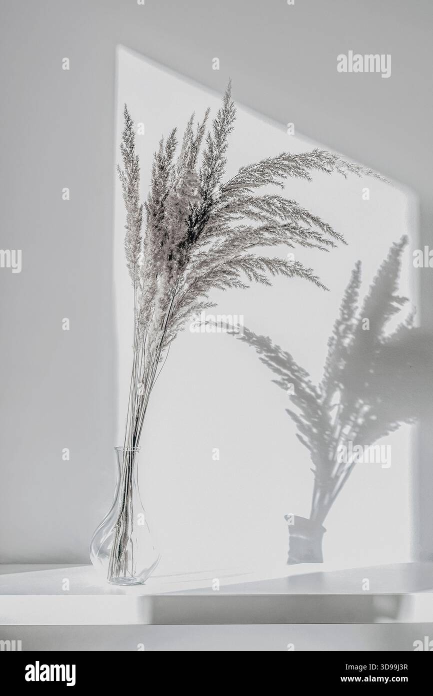 Minimal color year 2026 hi-res stock photography and images - Alamy