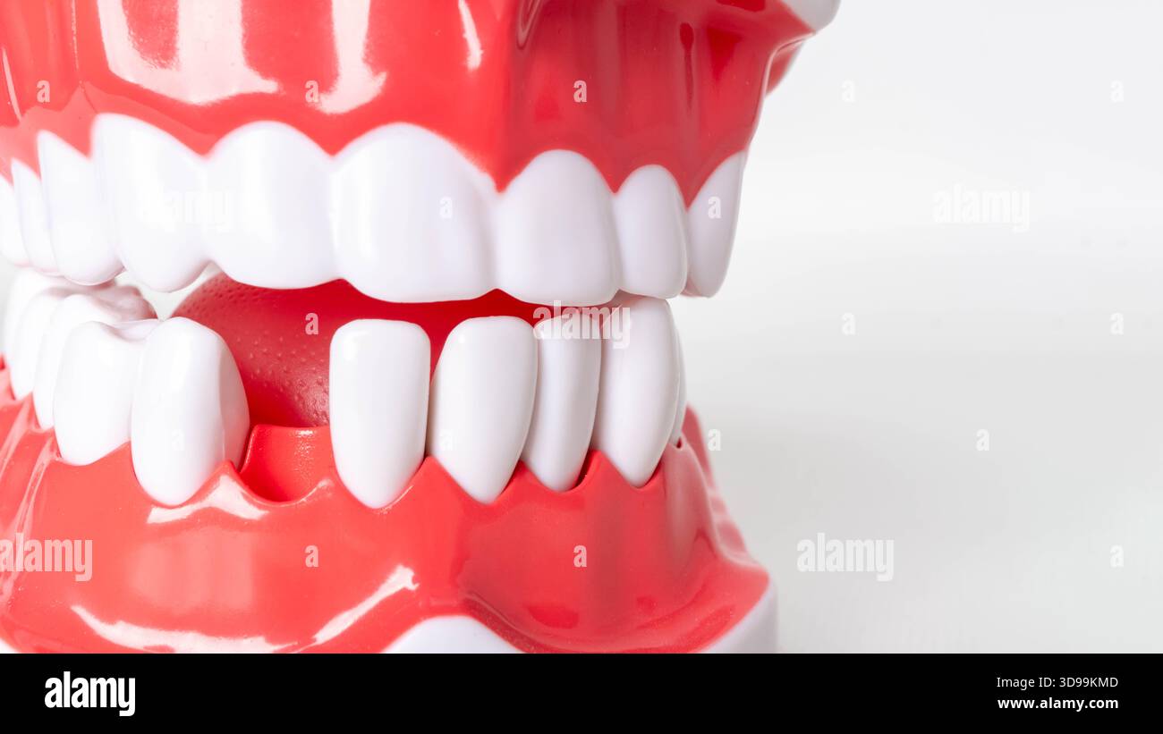 Gums healthcare hi-res stock photography and images - Alamy