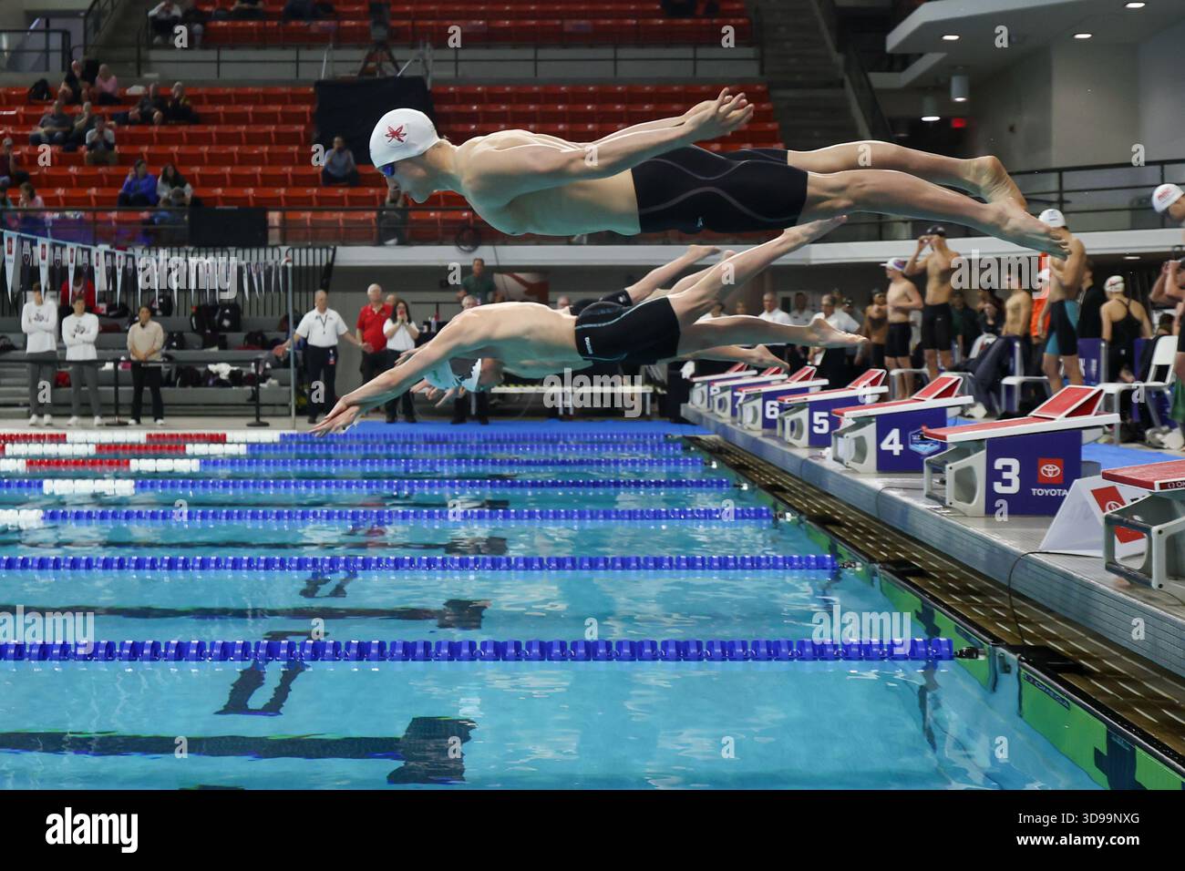 AUSTIN, TX - DECEMBER 04: Swimmers leap off the starting block in a men ...