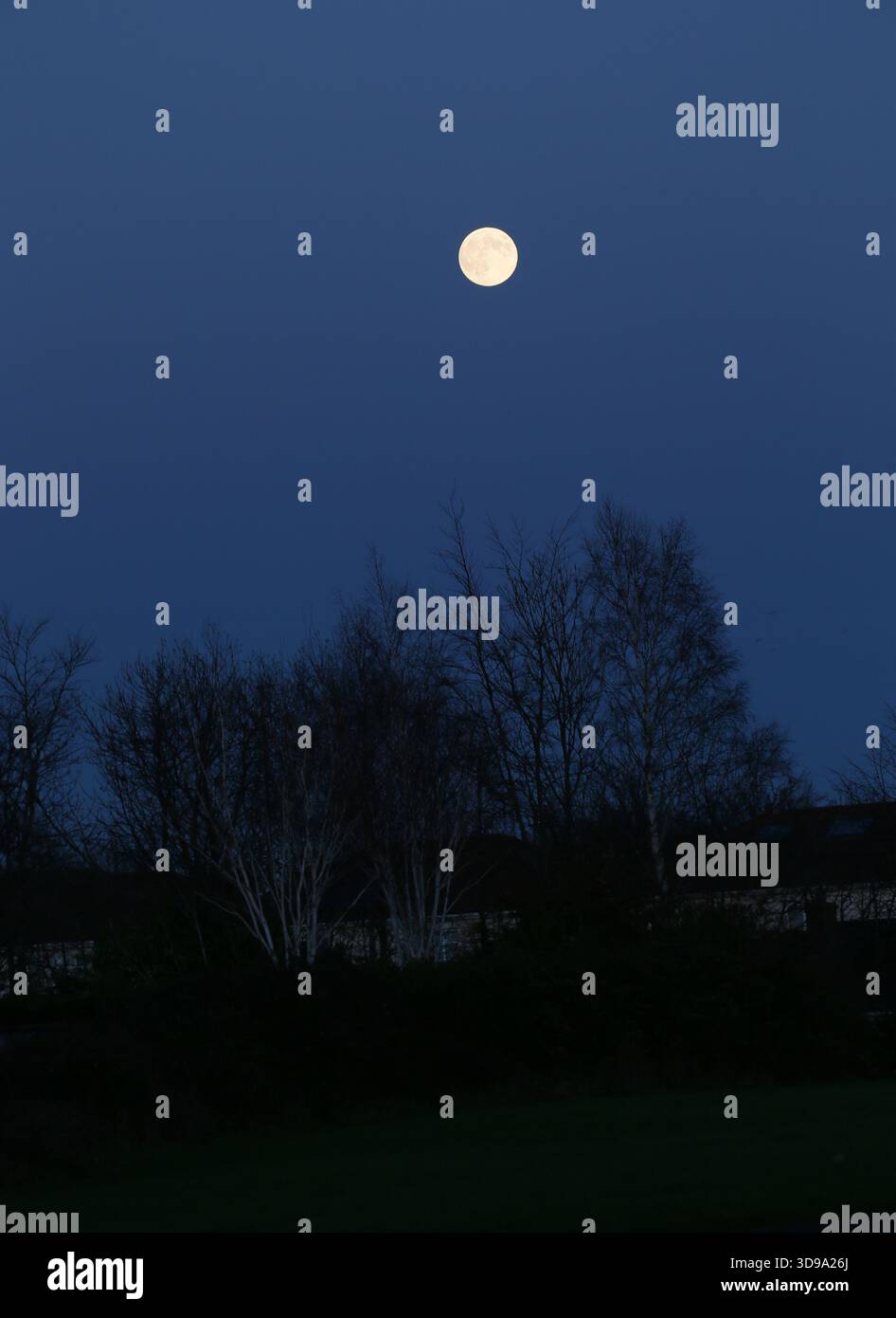The first full moon of winter hi-res stock photography and images - Alamy