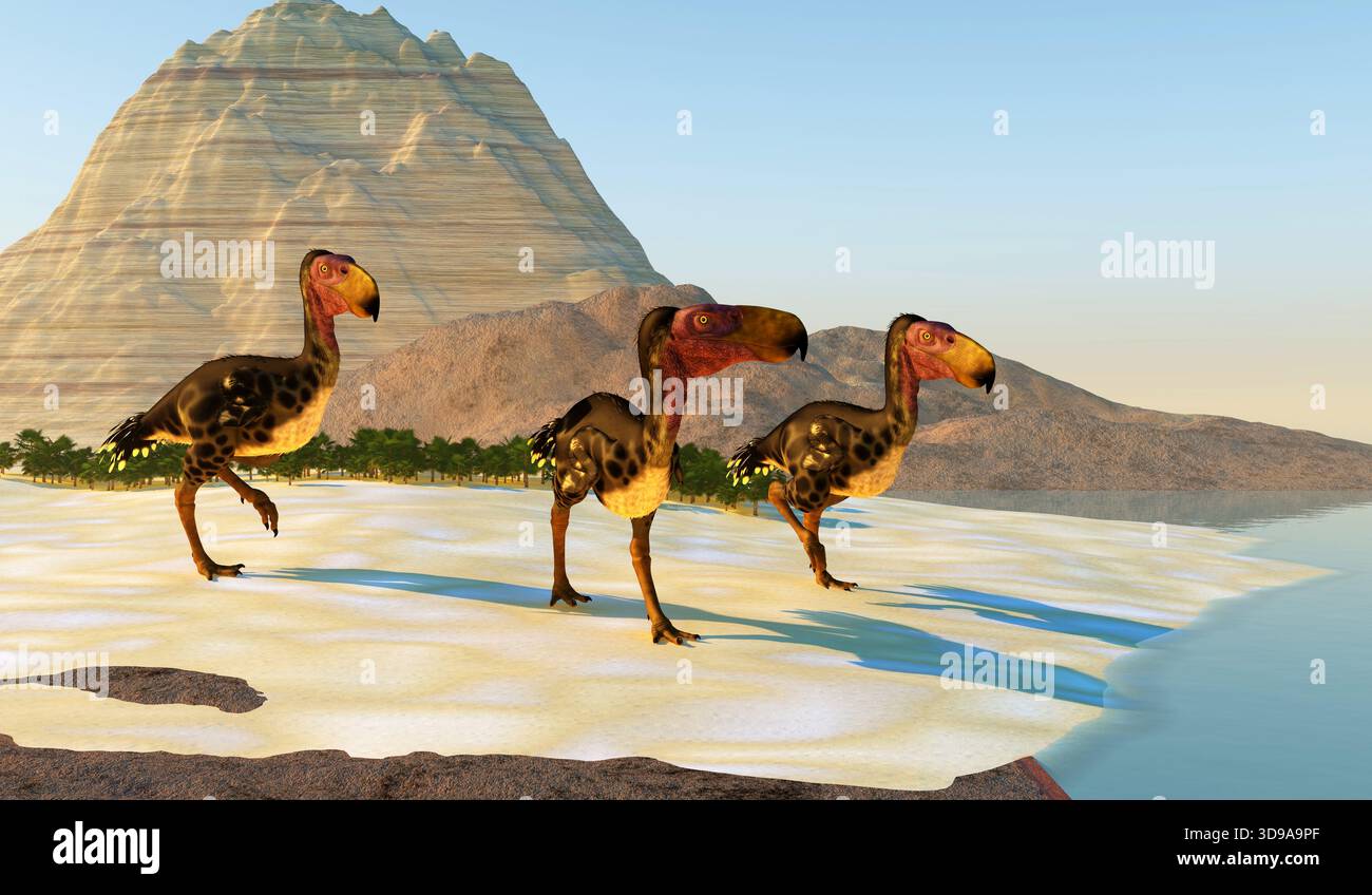 Kelenken is an extinct genus of giant flightless predatory birds that ...