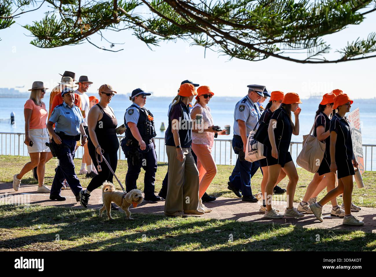 Members of the public take part in the Bayside Council Walk Against ...