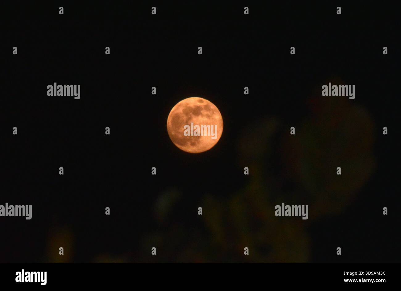 Cold Moon seen over Srinagar in Kashmir. The term 'cold moon ...