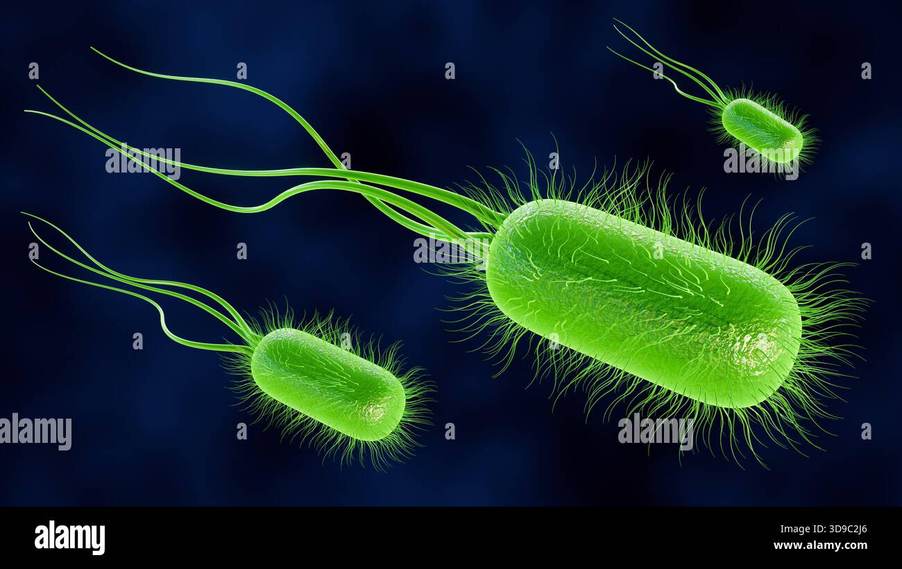 Motility of bacilli hi-res stock photography and images - Alamy