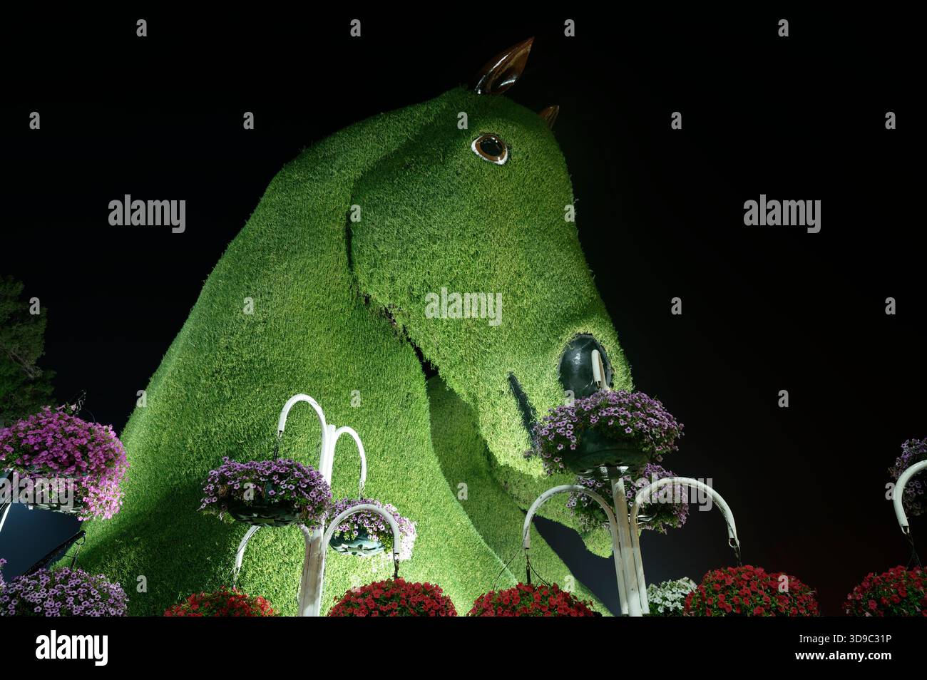 Dubai miracle garden map hi-res stock photography and images - Alamy