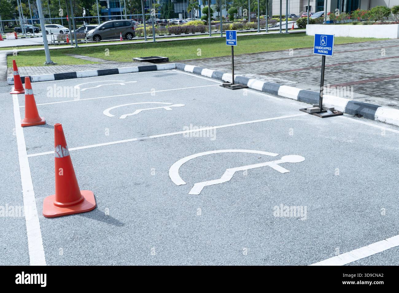 Dedicated handicapped parking bays marked with the wheelchair symbol ...